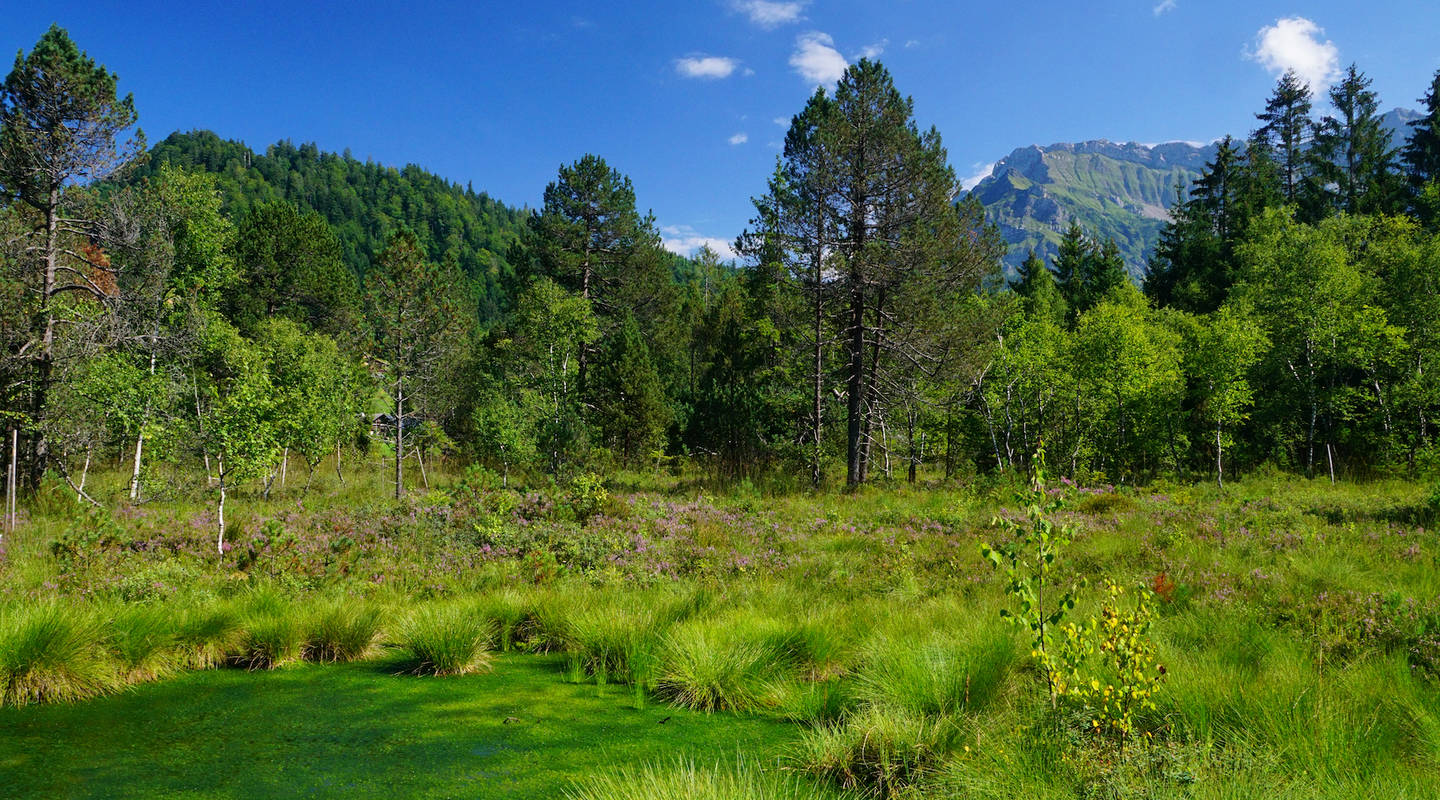 «Lokal» 1-2023 von Pro Natura Luzern | Pro Natura Luzern