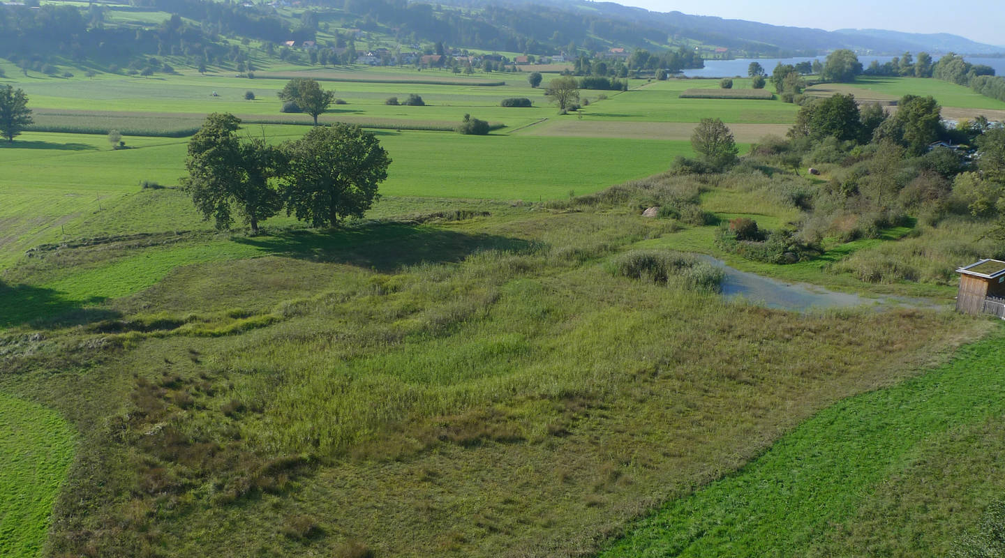 Ronfeld - Naturparadies im Seetal | Pro Natura Luzern