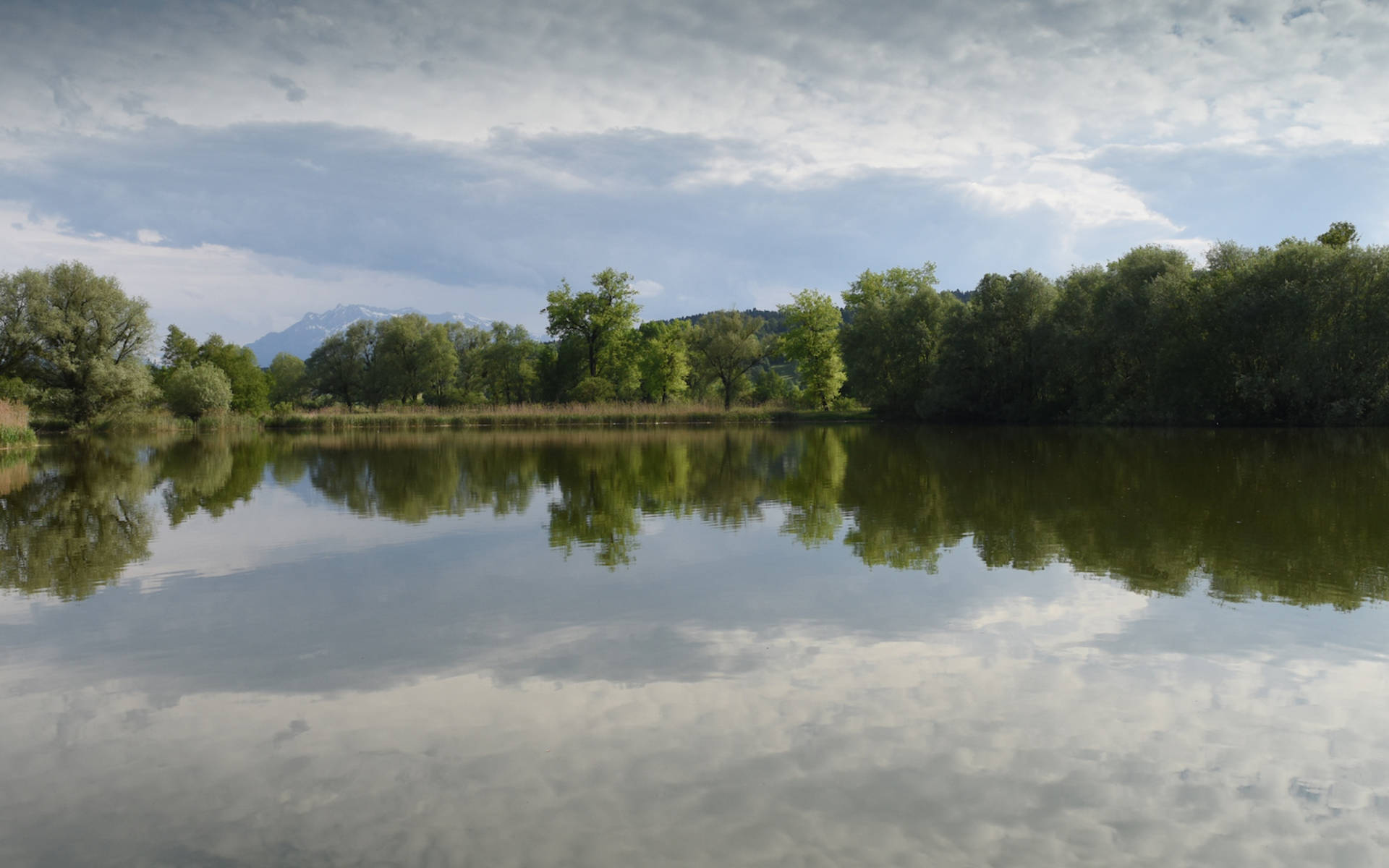 Baldegg: Pflegearbeiten im Schilfgürtel | Pro Natura Luzern